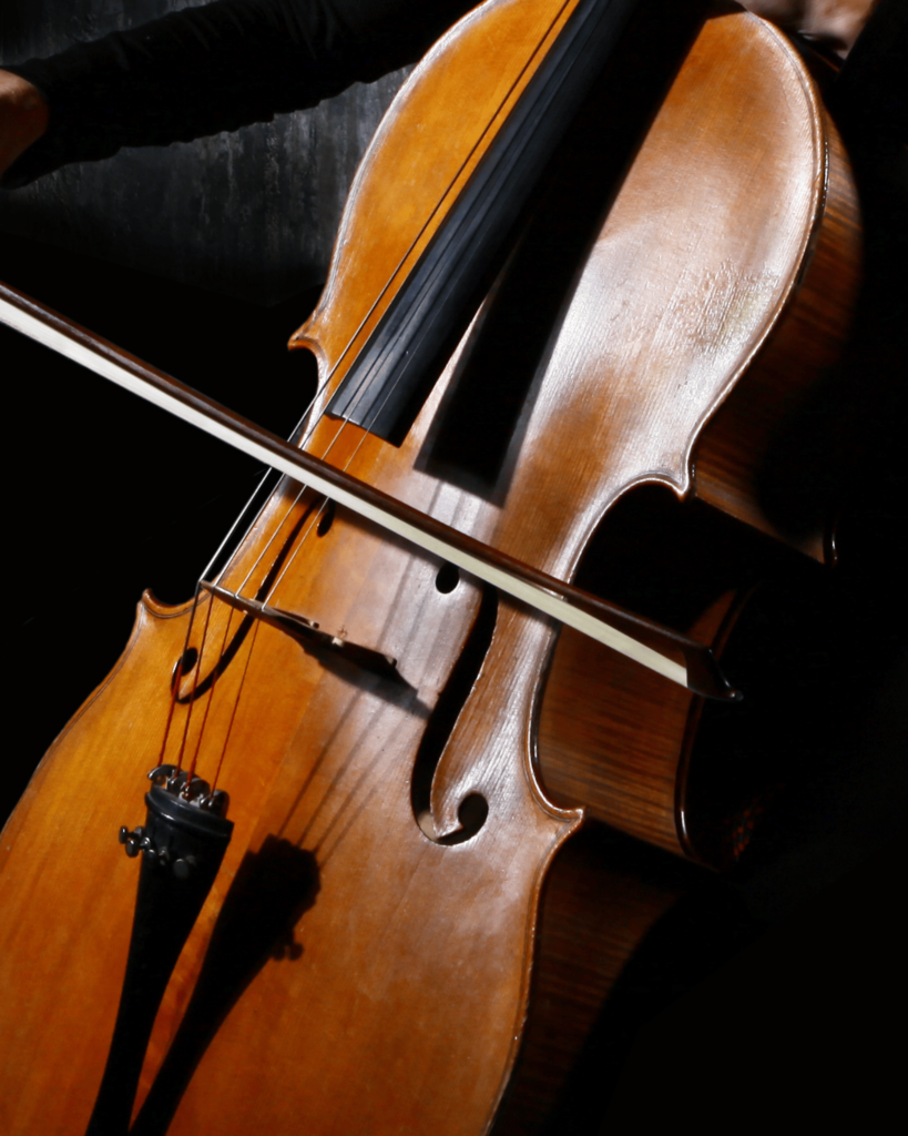 Musicians - Owensboro Symphony